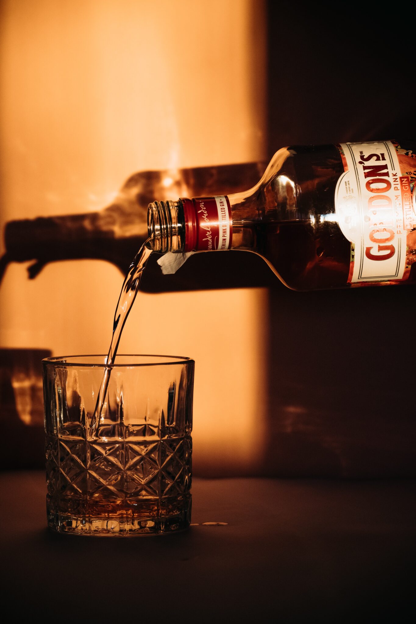 8 different types of gin | Moving Spirits