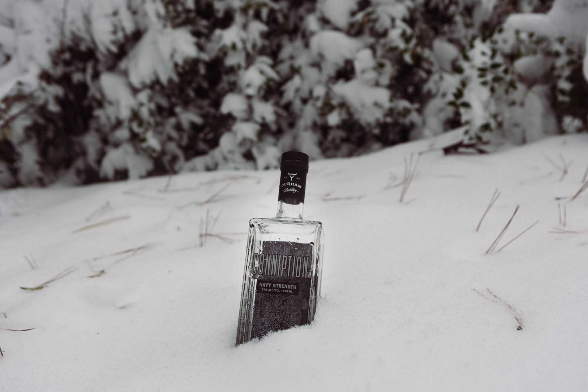 8 different types of gin | Moving Spirits