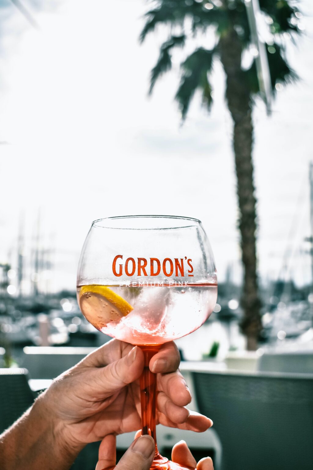 Pretty in Pink: What is Pink Gin? | Moving Spirits